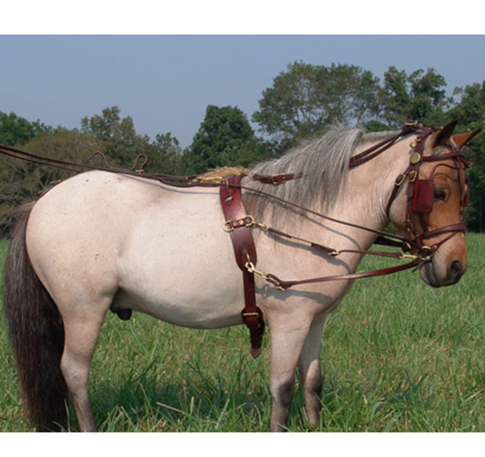 Harness Parts & Supplies – Mountain Tack
