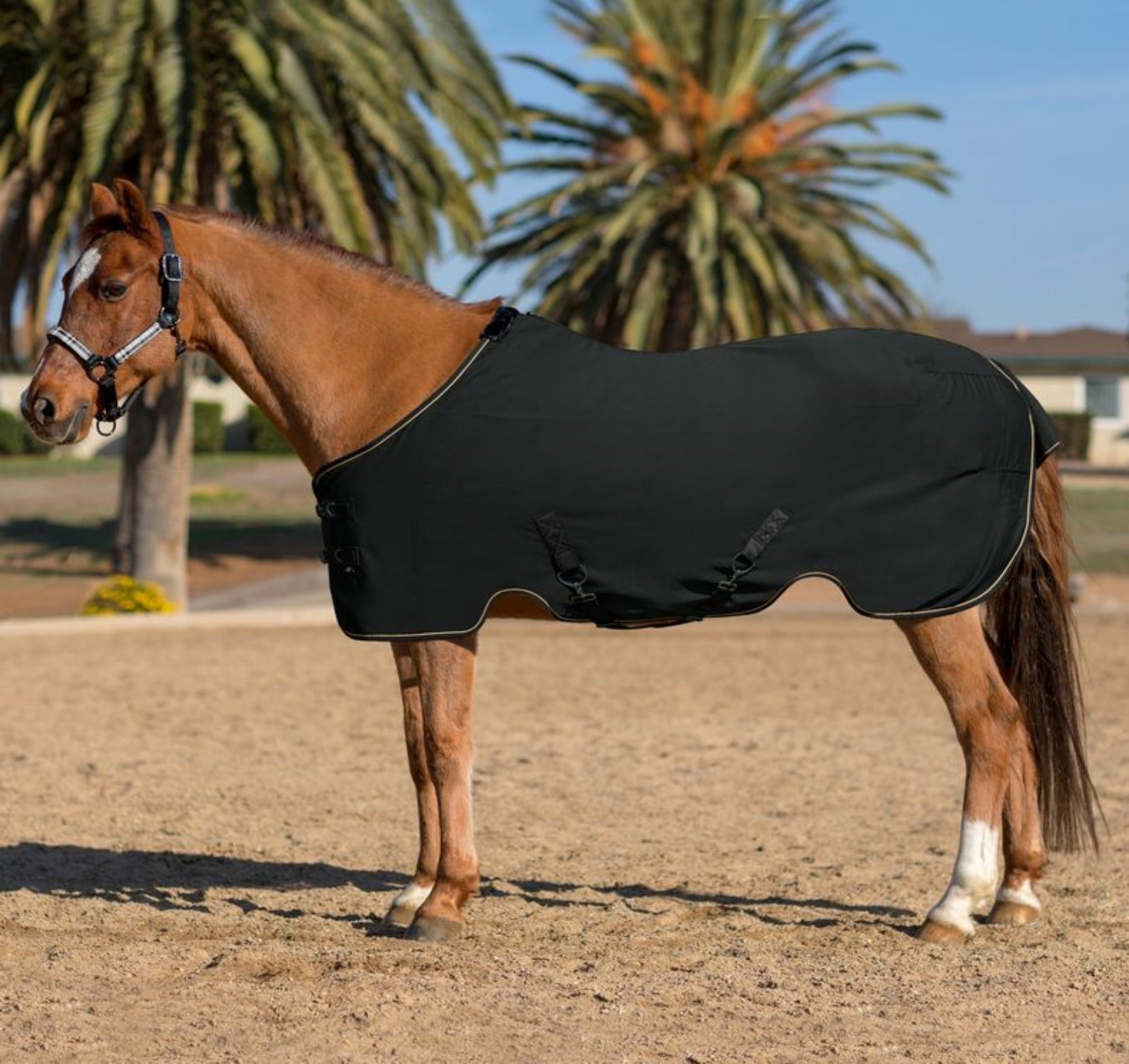 Poly Cotton Stable Sheet SureFit® by Kensington – Mountain Tack