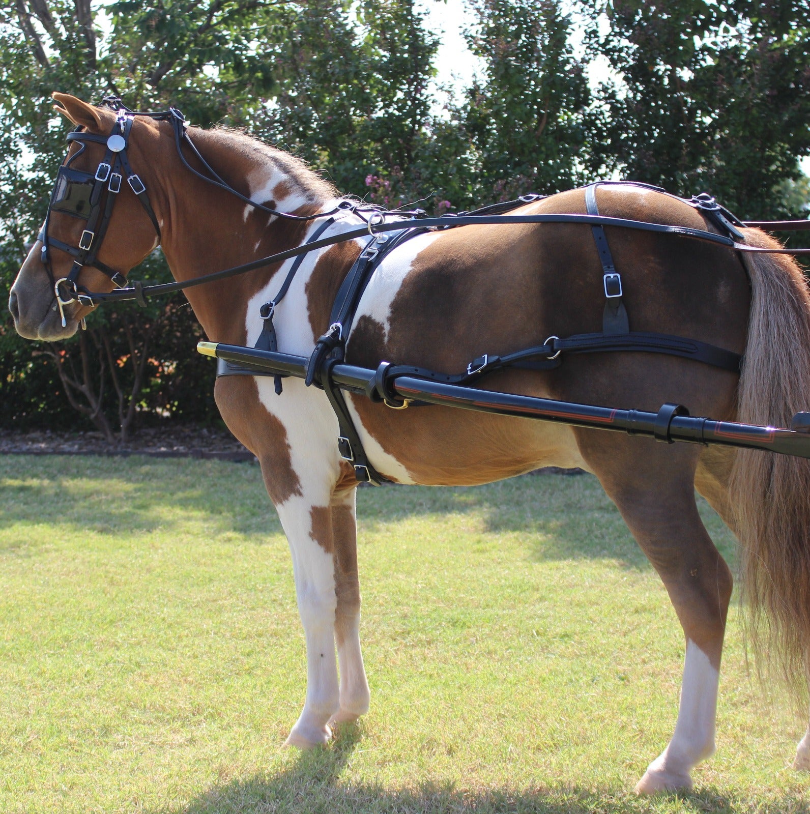 Leather Breast Collar for Minis & Ponies by Mose Miller – Mountain Tack