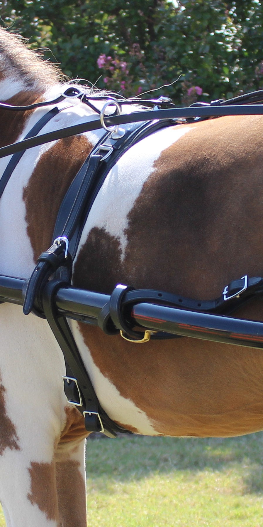 Mose Miller Leather Back Saddle for Minis & Ponies – brasshalter
