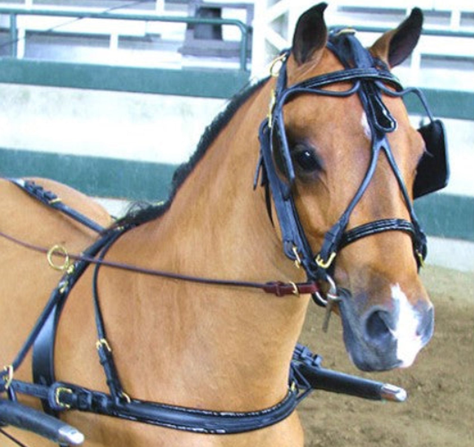 Leather Pony Show Harness with Dual Headstalls by Mose Miller ...