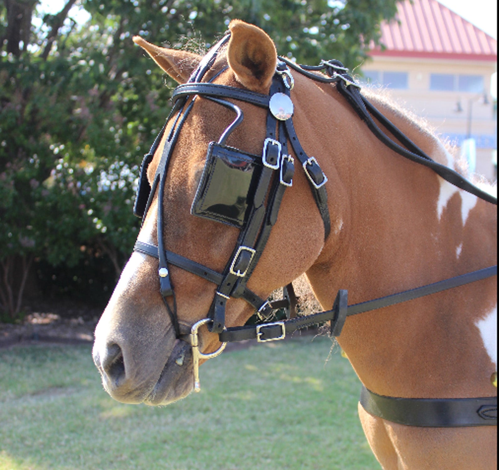 Leather Pleasure Driving Headstall for Minis & Ponies by Mose Miller ...