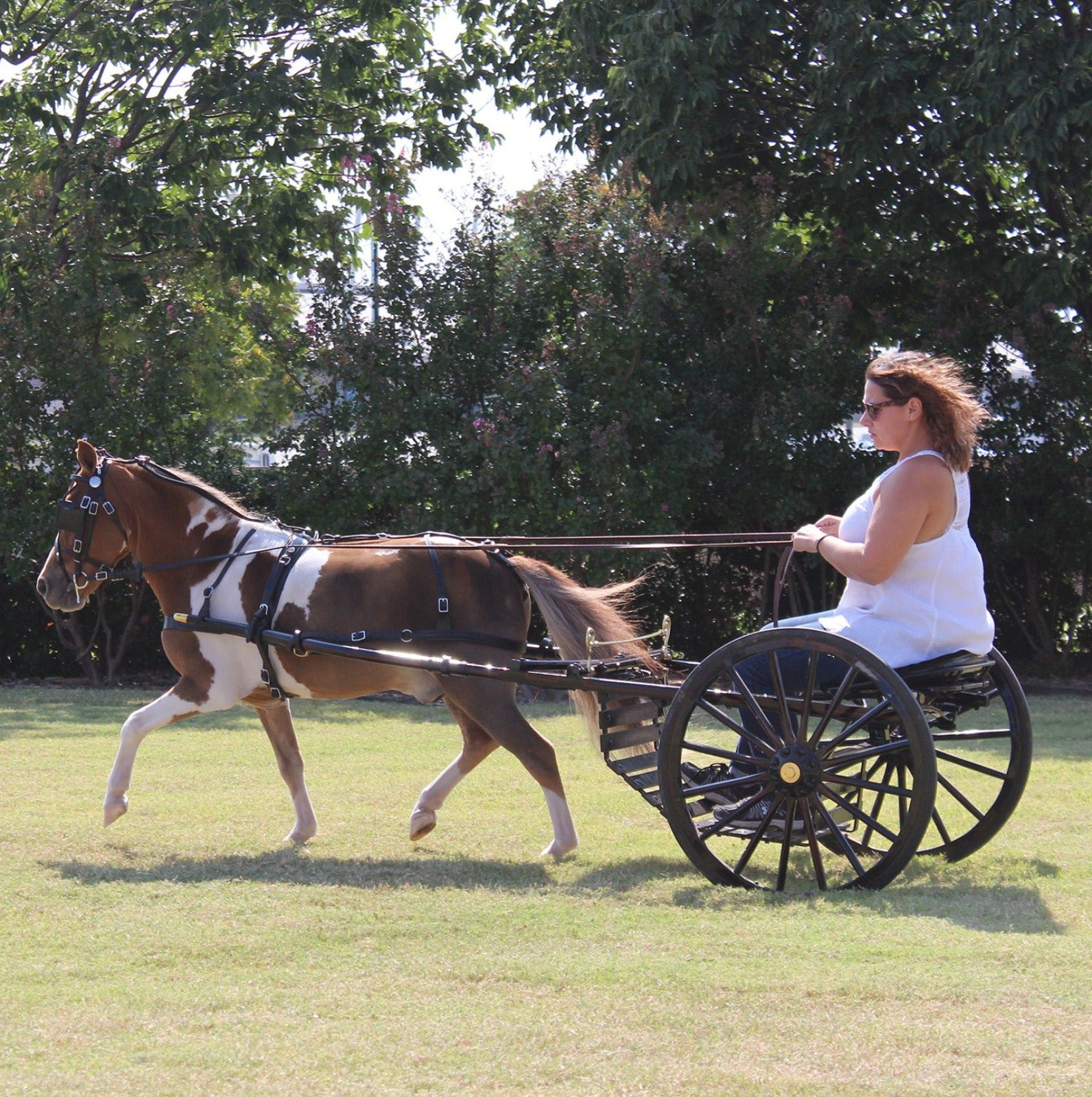 Leather Pleasure Harness for Minis, Ponies and Horses by Mose Miller ...