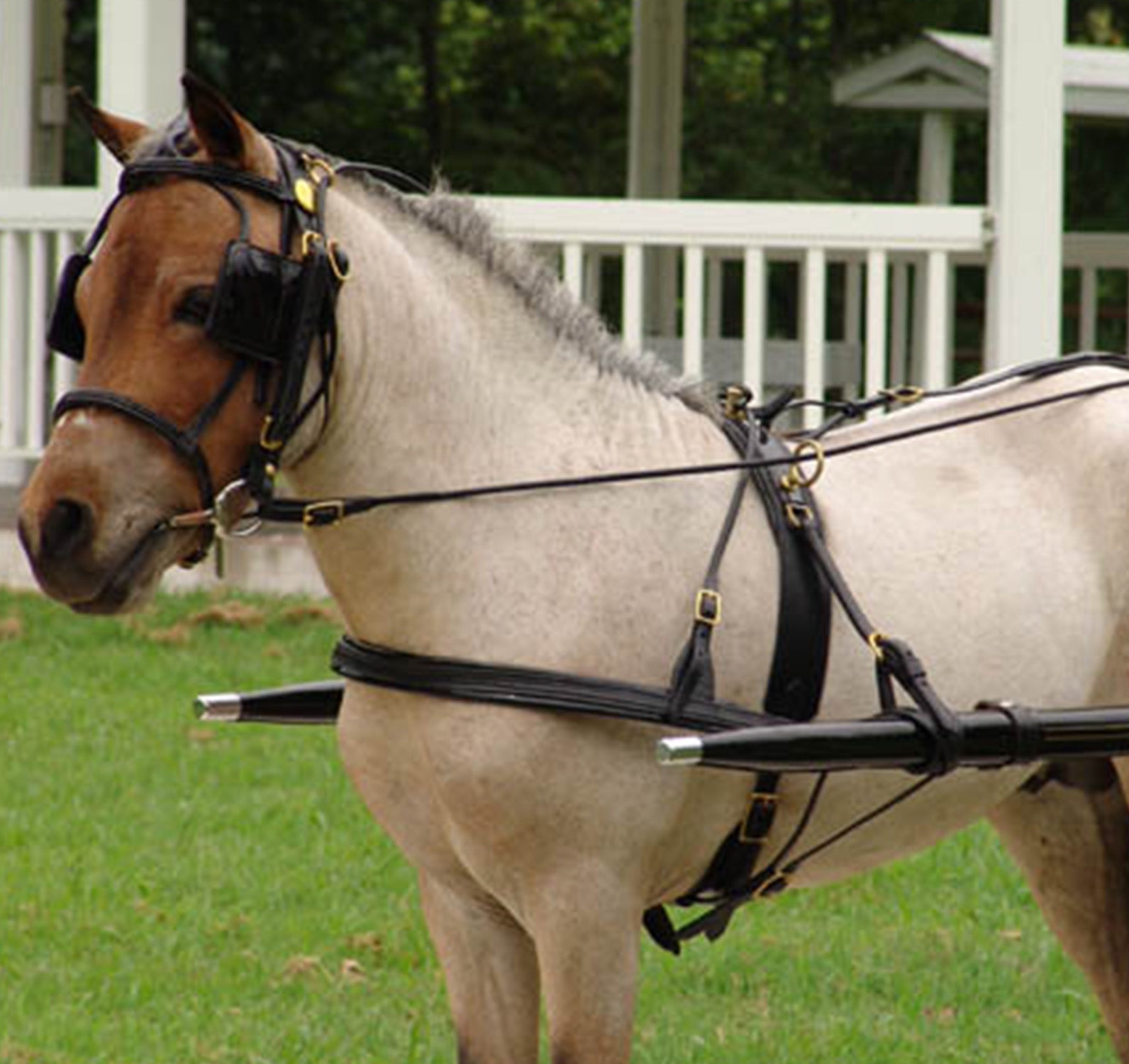 Mose Miller Leather Show Harness Miniature and Pony – Mountain Tack