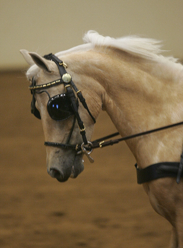 Mose Miller V Breast Collar for Minis & Ponies – brasshalter